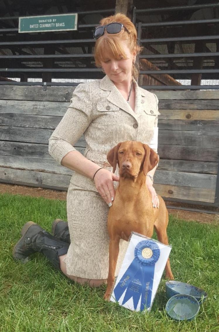 #1 Female Vizsla in the Country - 2018! 2xBISS GCHS Int/Am CH Pinewood ...