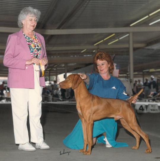 Vizsla History Registry - Best In Specialty Show Ri-Ru (AKC, UKC, Can ...